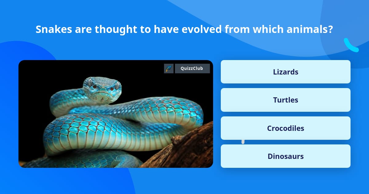 Snakes are thought to have evolved... | Trivia Questions | QuizzClub