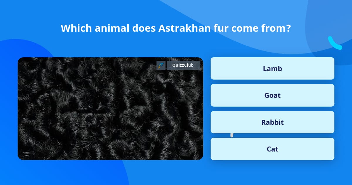 Which animal does Astrakhan fur come... | Trivia Answers | QuizzClub