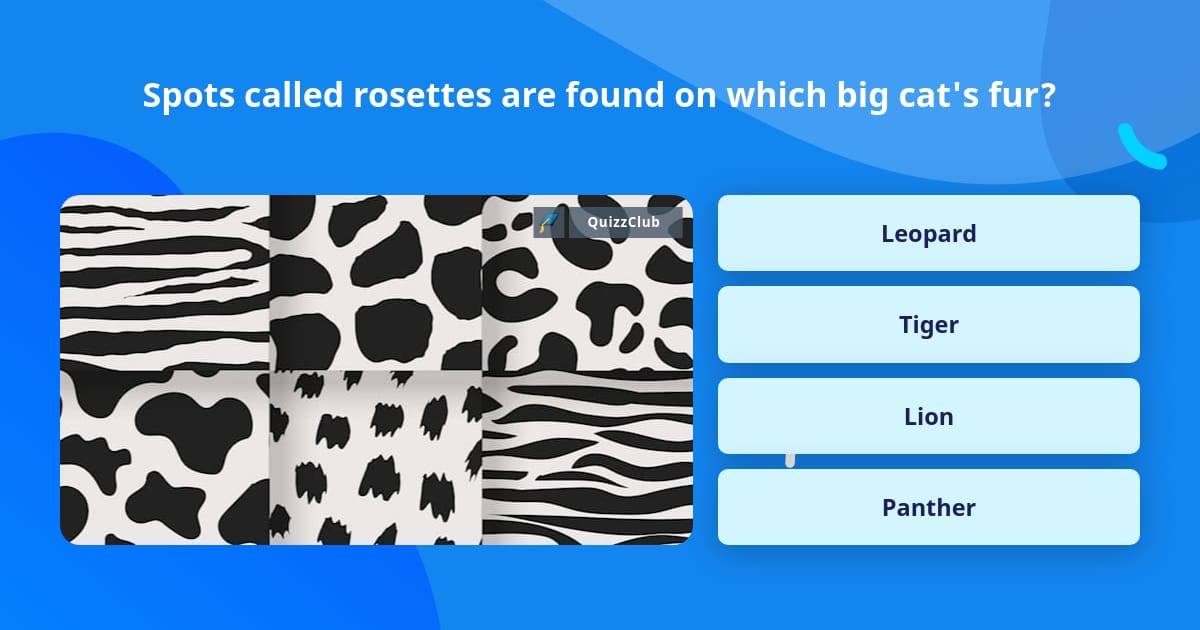 Spots called rosettes are found on... | Trivia Answers | QuizzClub