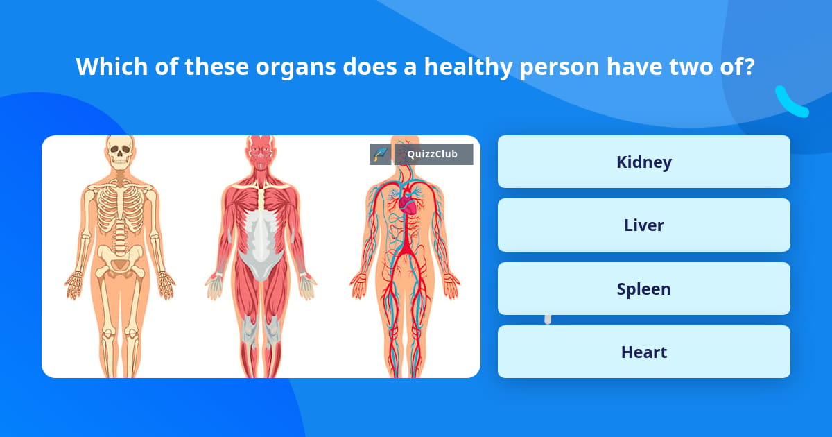 Which of these organs does a healthy... | Trivia Answers | QuizzClub