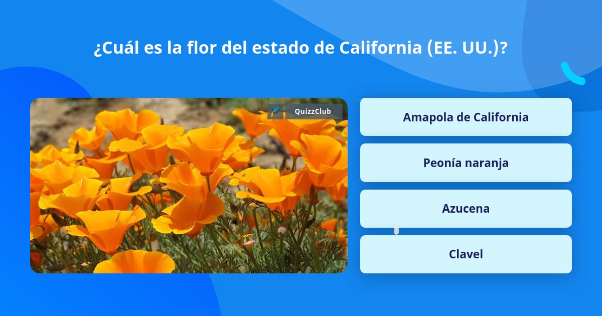 ¿Cuál es la flor del estado de... | Las Preguntas Trivia | QuizzClub