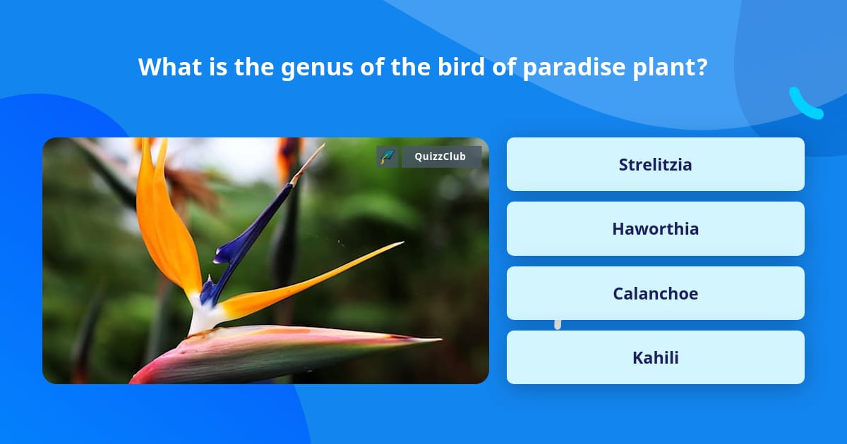 What is the genus of the bird of... | Trivia Questions | QuizzClub