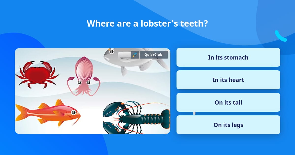Where are a lobster's teeth? | Trivia Questions | QuizzClub