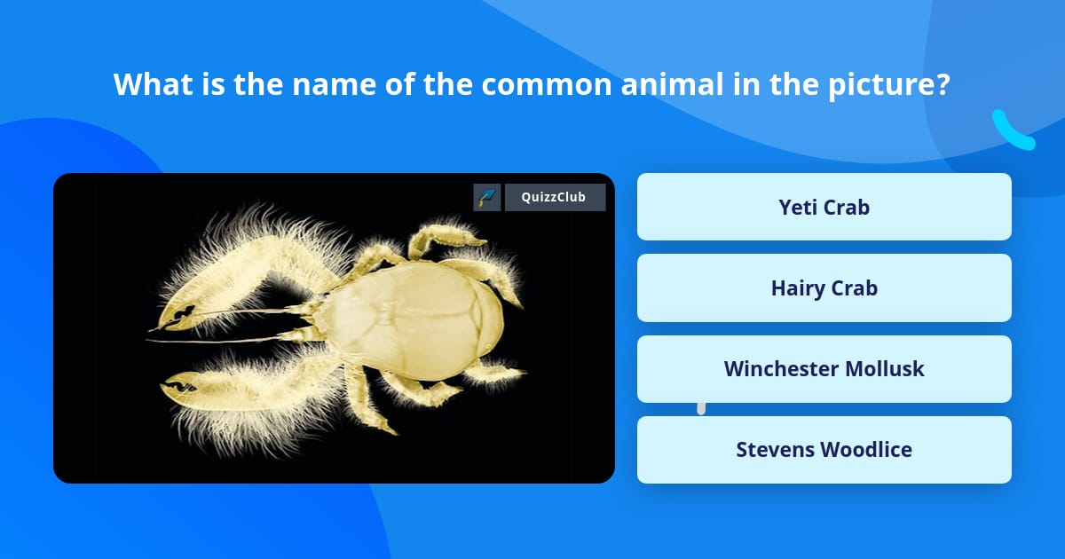 What is the name of the common... | Trivia Questions | QuizzClub