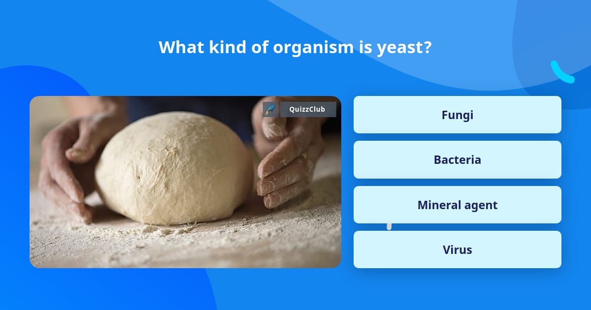 What kind of organism is yeast? | Trivia Questions | QuizzClub
