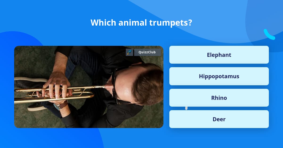 Which animal trumpets? | Trivia Questions | QuizzClub