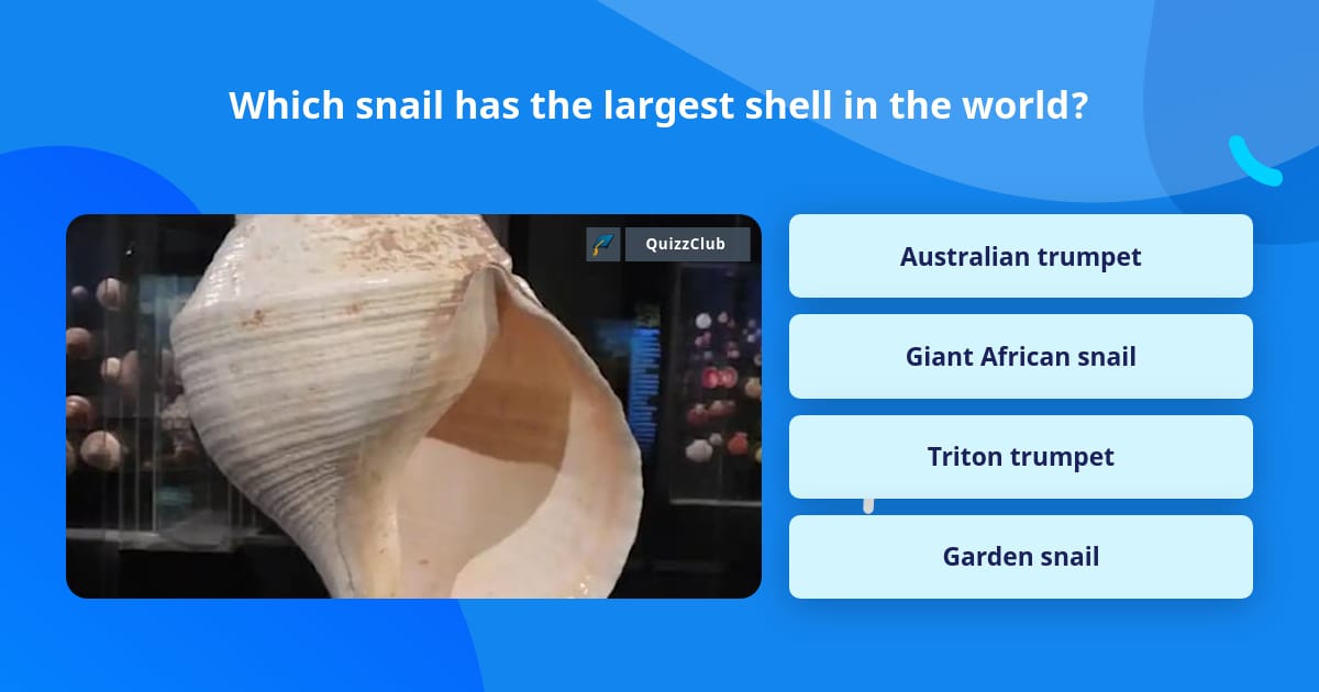 Which snail has the largest shell in... | Trivia Questions | QuizzClub