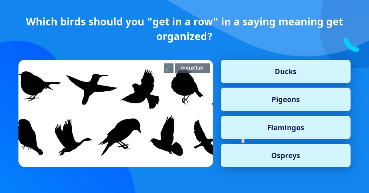 Which birds should you "get in a... | Trivia Questions | QuizzClub