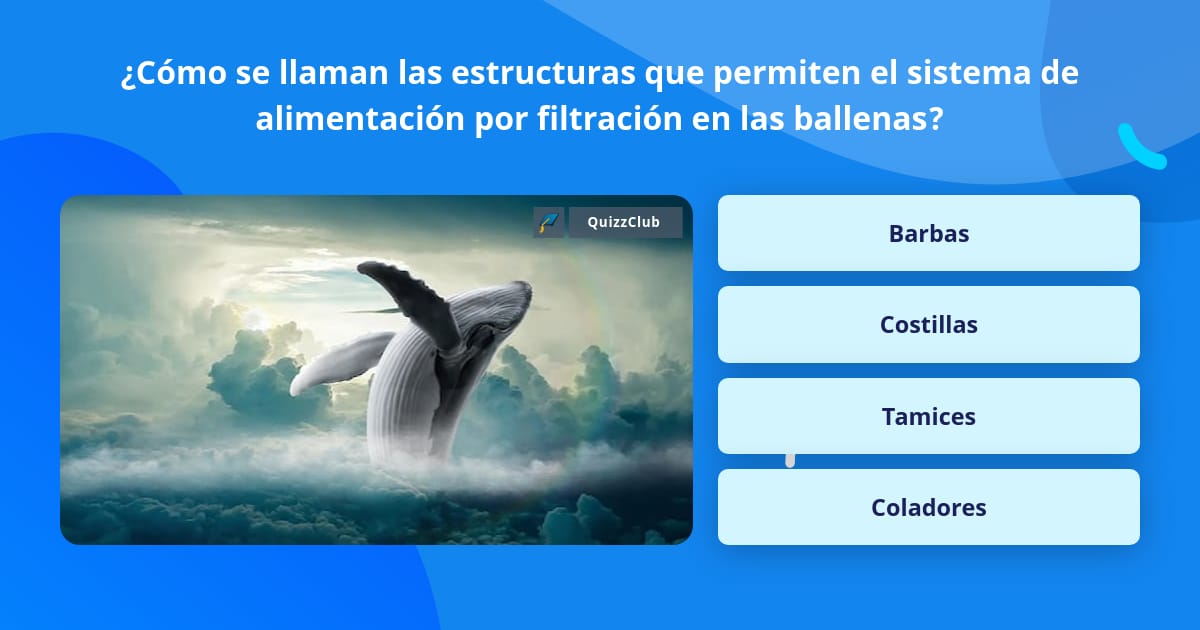 ¿Cómo se llaman las estructuras que... | La respuesta de Trivia