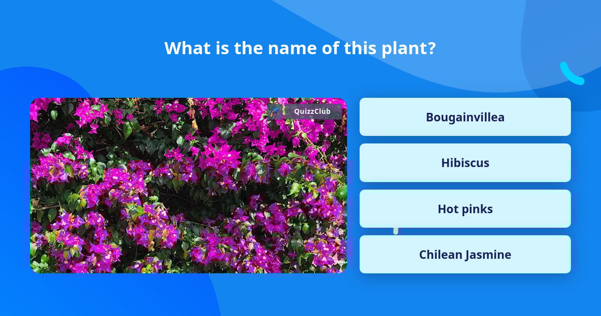 What is the name of this plant? | Trivia Questions | QuizzClub