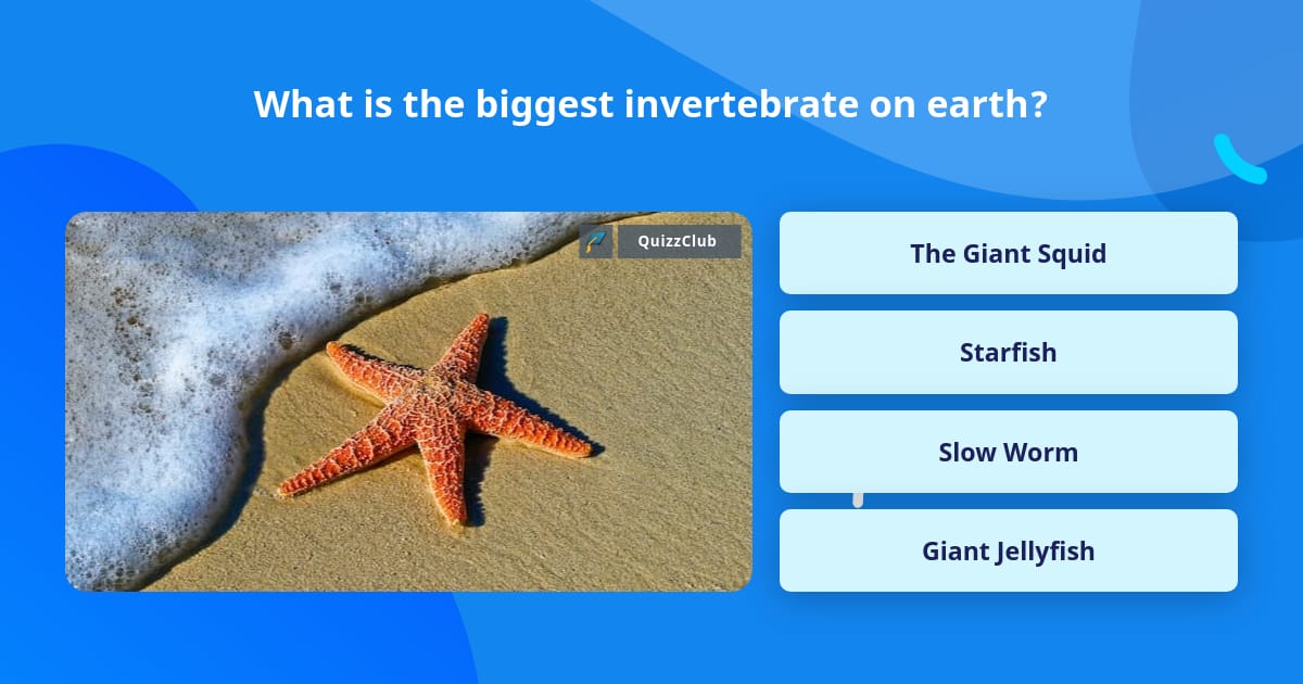 What is the biggest invertebrate on... | Trivia Questions | QuizzClub