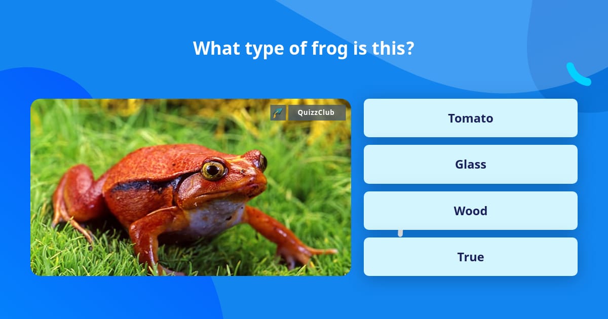 What type of frog is this? | Trivia Answers | QuizzClub