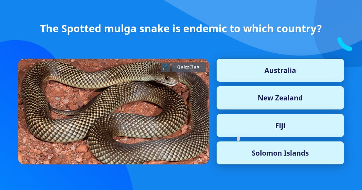 The Spotted mulga snake is endemic... | Trivia Answers | QuizzClub