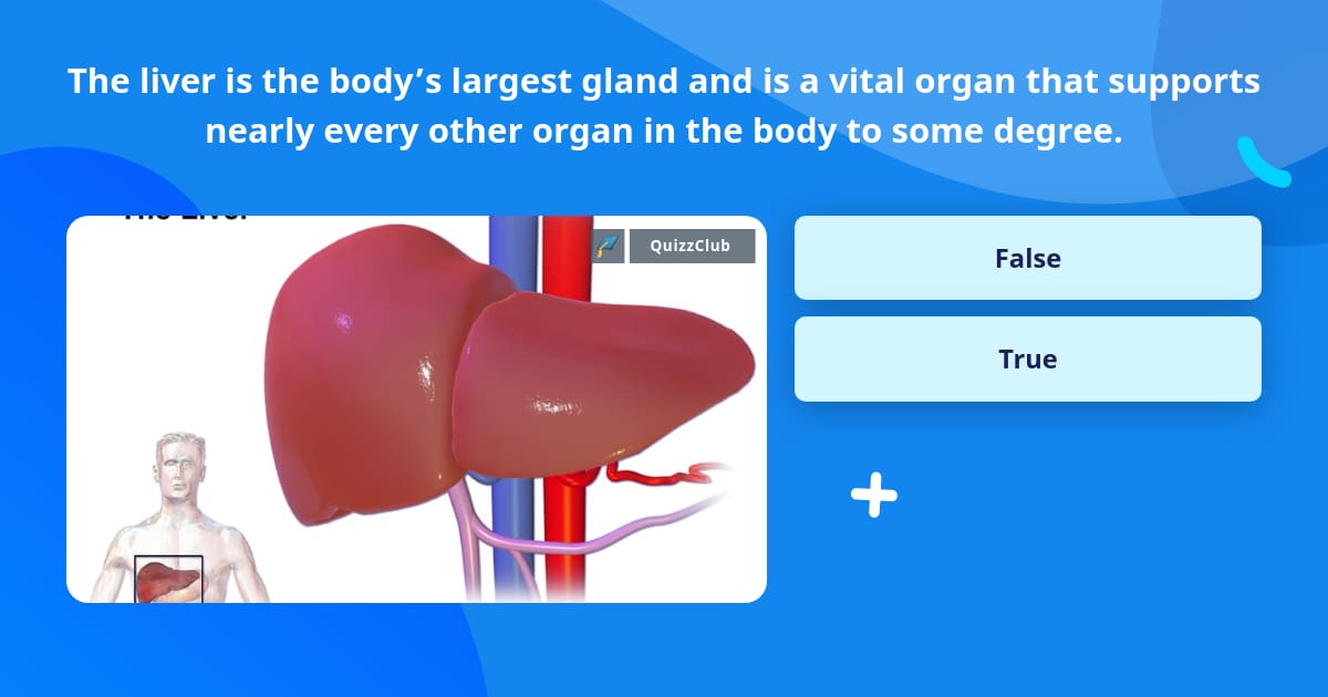The liver is the body’s largest... | Trivia Answers | QuizzClub