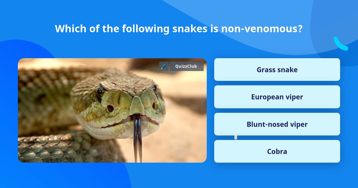 Which of the following snakes is... | Trivia Answers | QuizzClub
