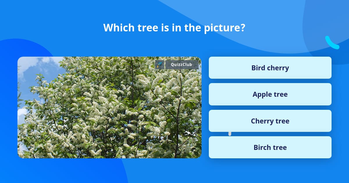Which tree is in the picture? | Trivia Answers | QuizzClub