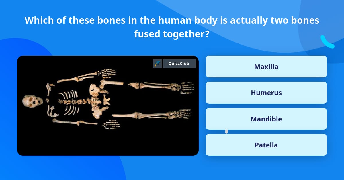Which of these bones in the human... | Trivia Questions | QuizzClub