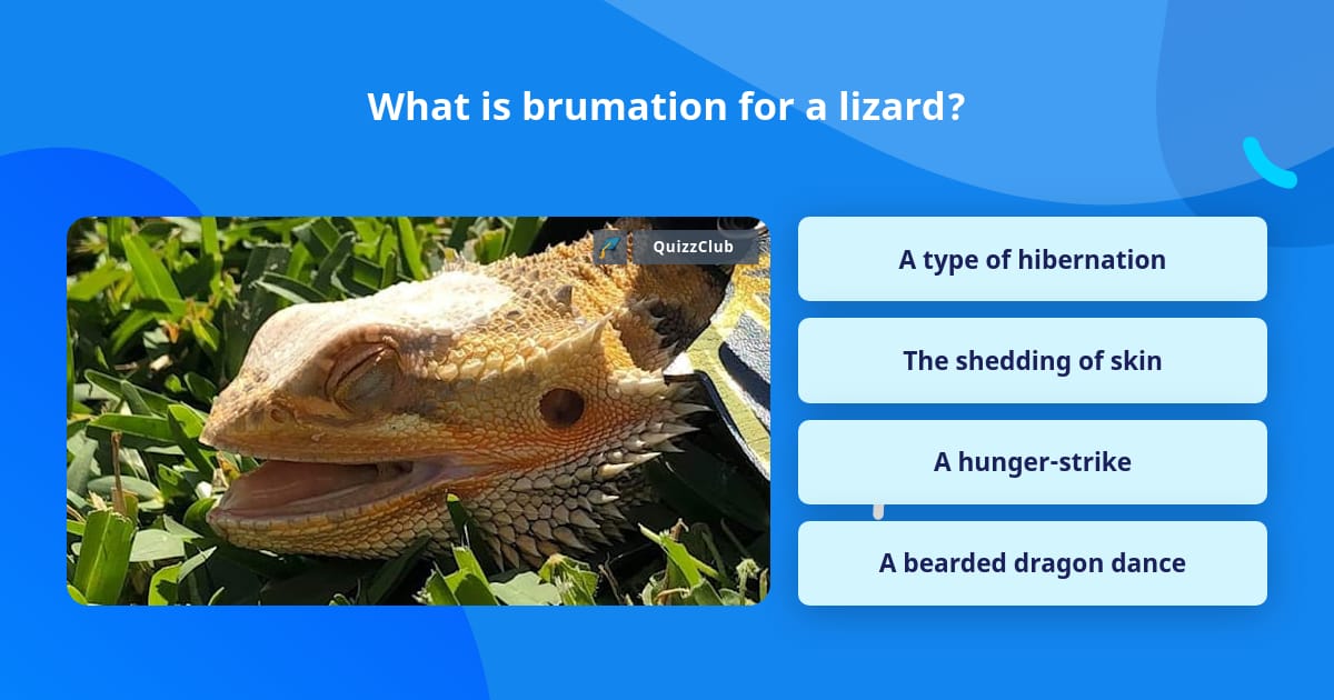 What is brumation for a lizard? | Trivia Answers | QuizzClub