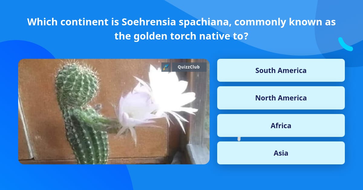 Which continent is Soehrensia... | Trivia Questions | QuizzClub
