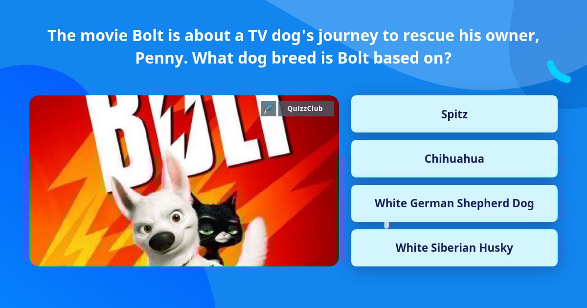 The movie Bolt is about a TV dog's... | Trivia Answers | QuizzClub
