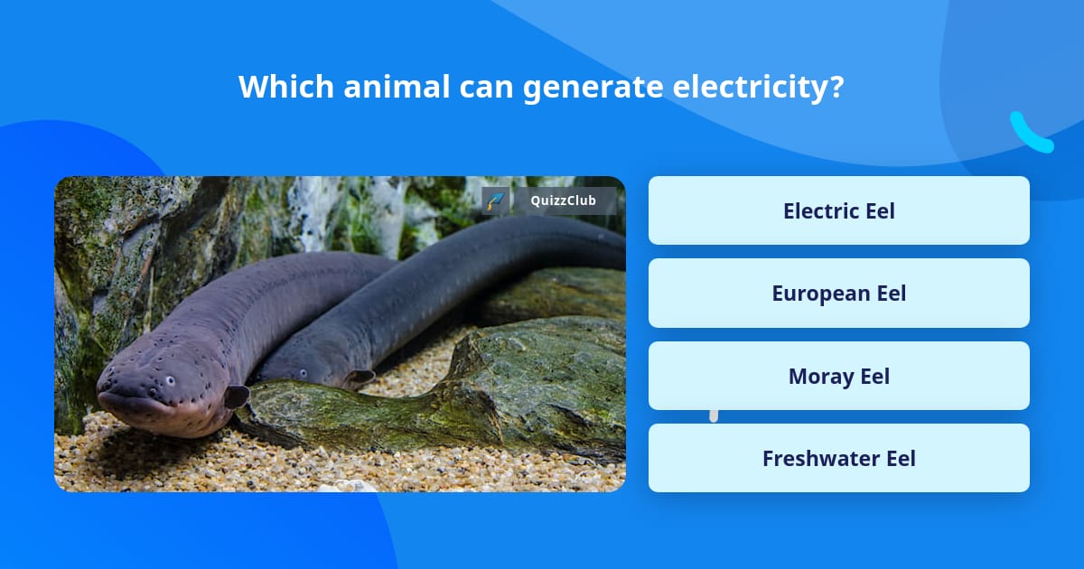 Which animal can generate electricity? | Trivia Answers | QuizzClub