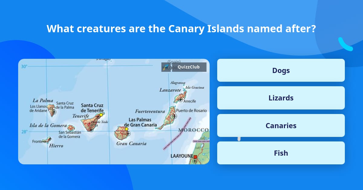 What creatures are the Canary... | Trivia Questions | QuizzClub