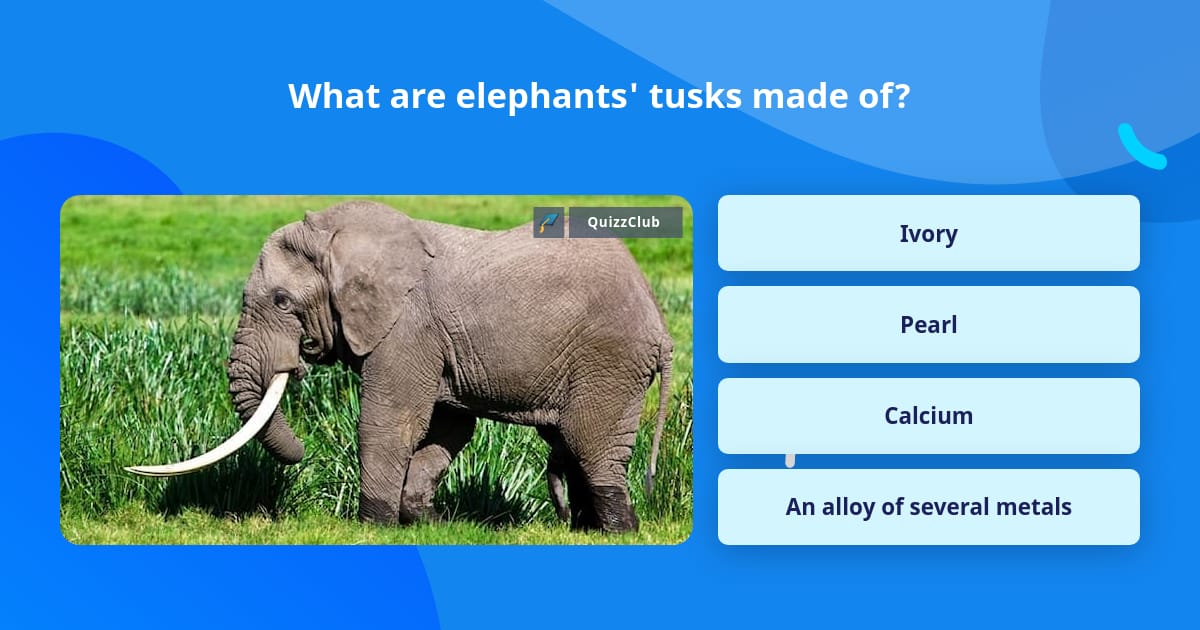 What are elephants' tusks made of? | Trivia Questions | QuizzClub