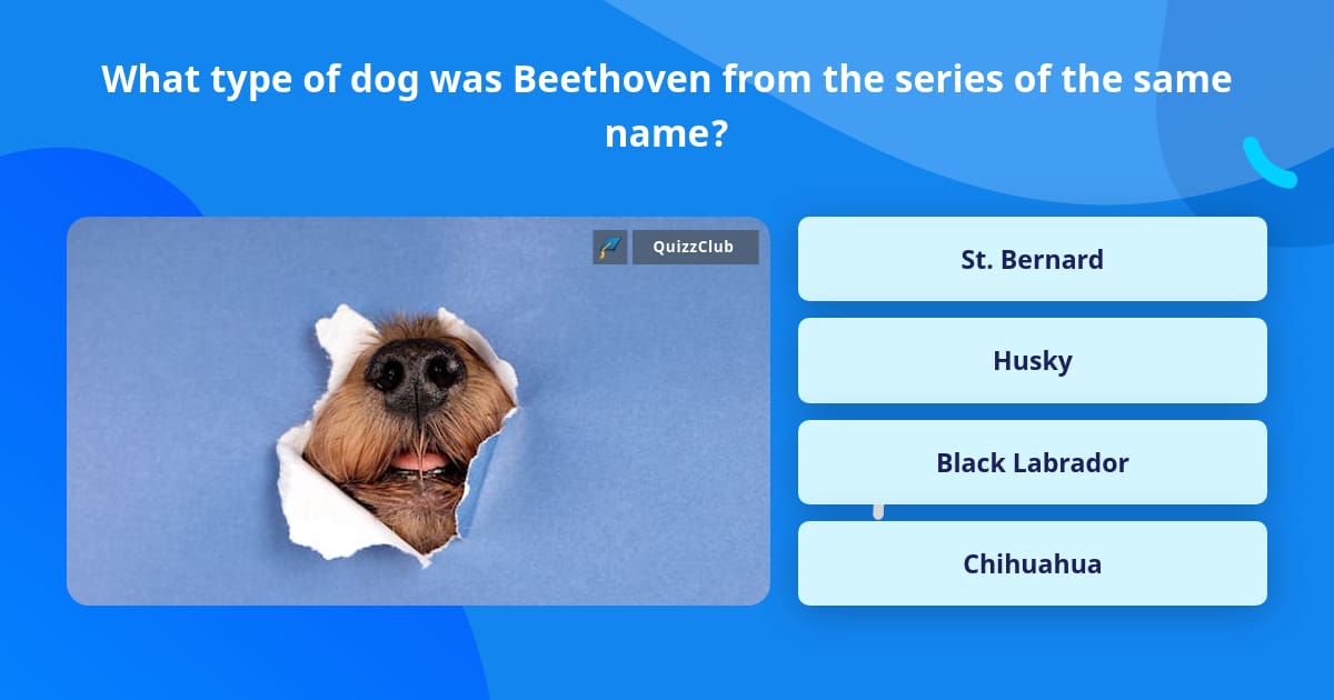 What type of dog was Beethoven from... | Trivia Questions | QuizzClub