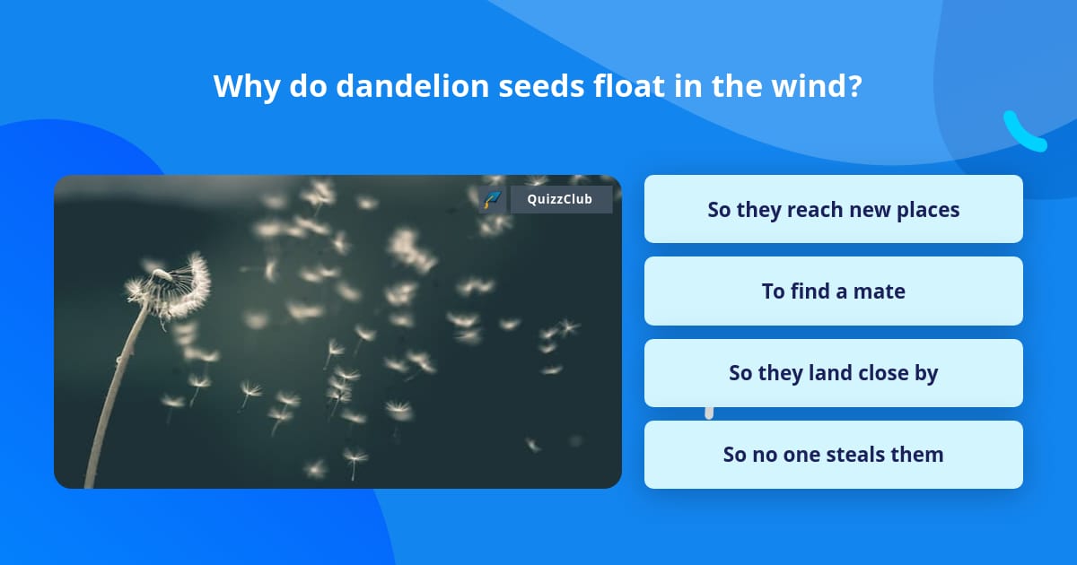 Why do dandelion seeds float in the... | Trivia Questions | QuizzClub