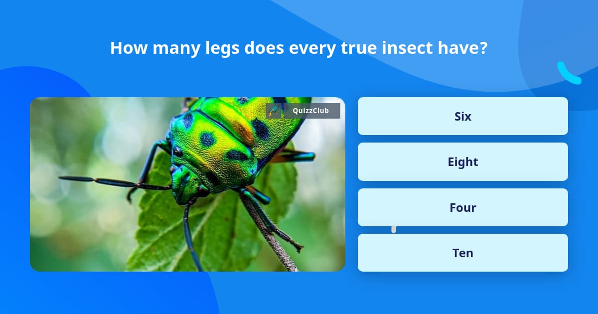 How many legs does every true insect... | Trivia Questions | QuizzClub