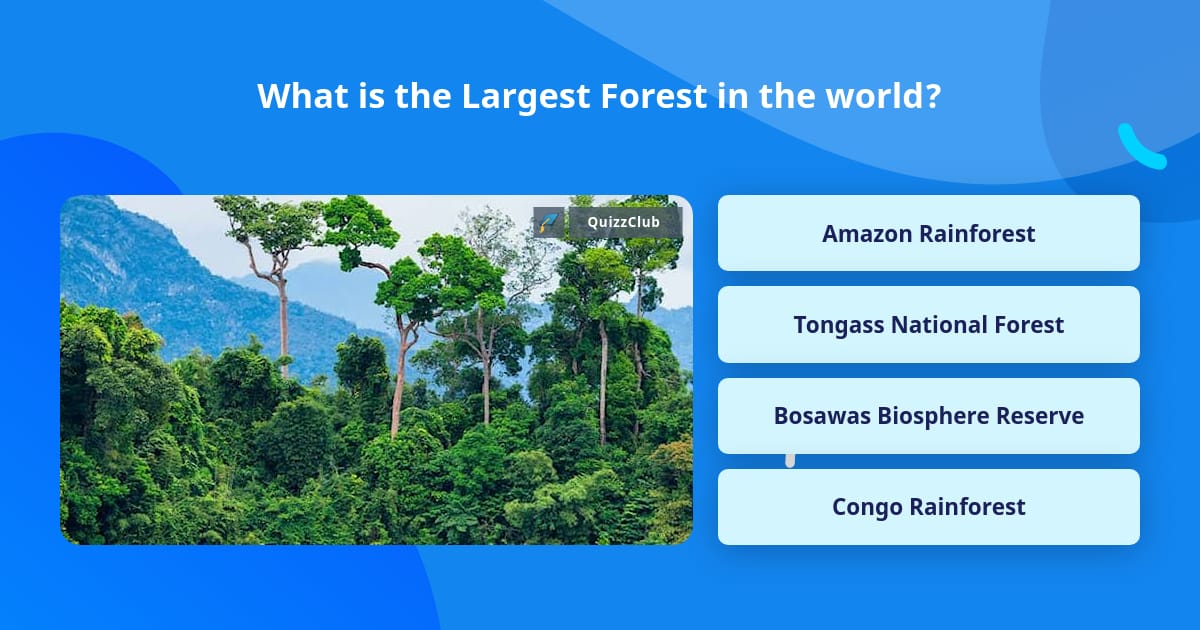 What is the Largest Forest in the world? | Trivia Questions