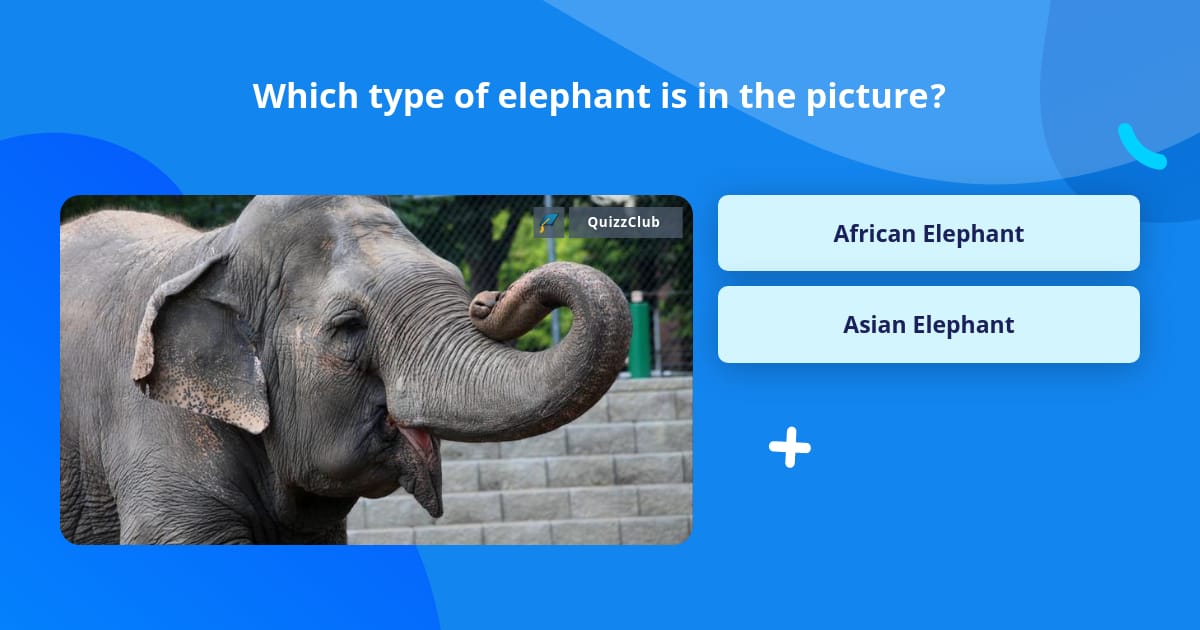 Which type of elephant is in the... | Trivia Questions | QuizzClub