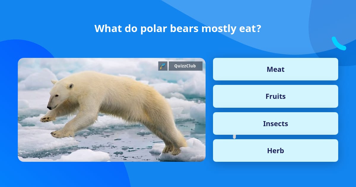 What do polar bears mostly eat? | Trivia Questions | QuizzClub