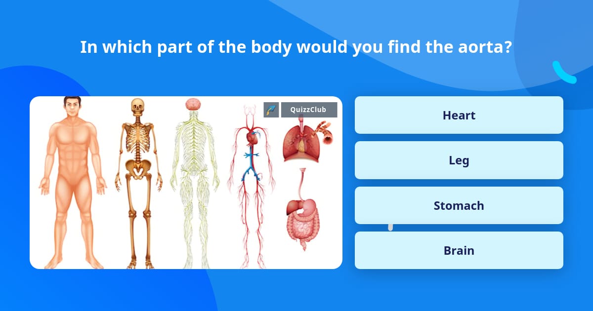 In which part of the body would you... | Trivia Answers | QuizzClub