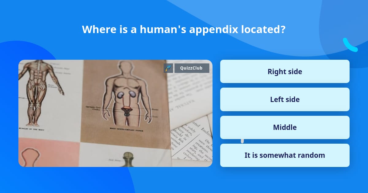 Where is a human's appendix located? | Trivia Questions | QuizzClub
