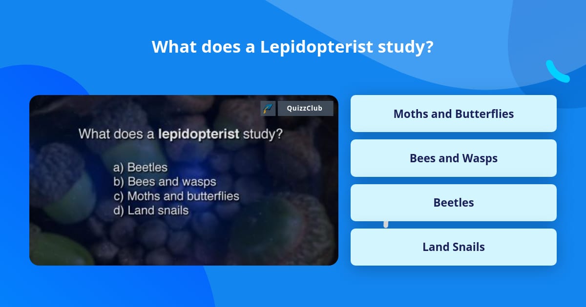 What does a Lepidopterist study? | Trivia Questions | QuizzClub