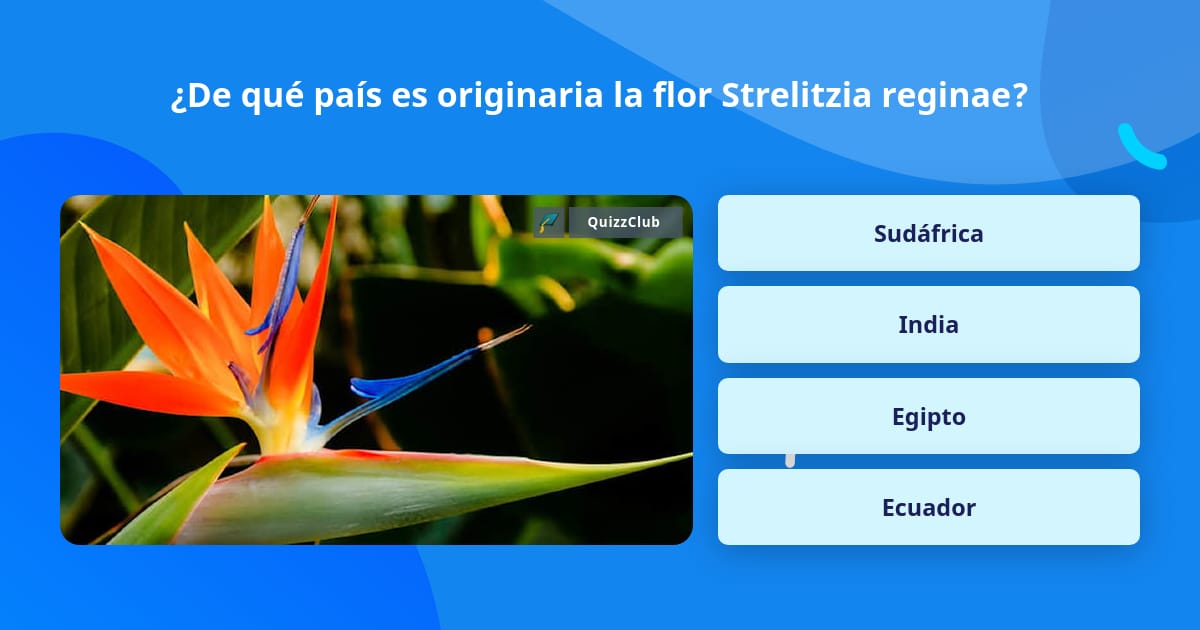 ¿De qué país es originaria la flor... | Las Preguntas Trivia