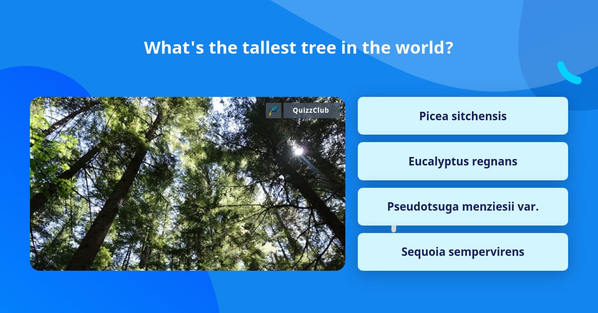 What's the tallest tree in the world? | Trivia Questions | QuizzClub