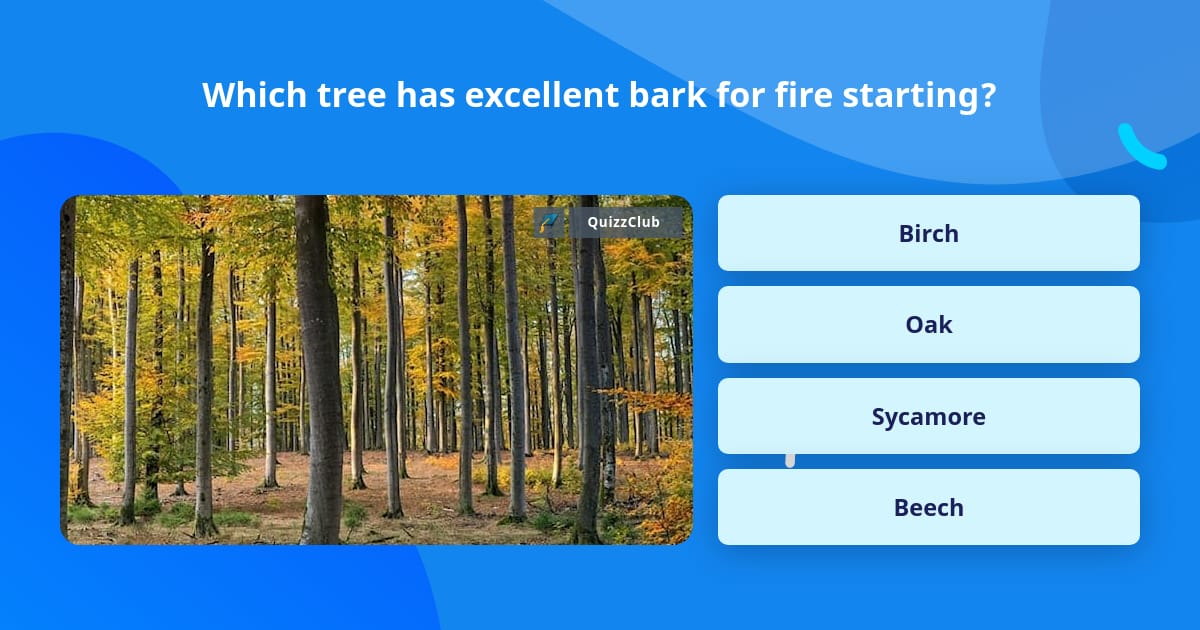 Which tree has excellent bark for... | Trivia Answers | QuizzClub