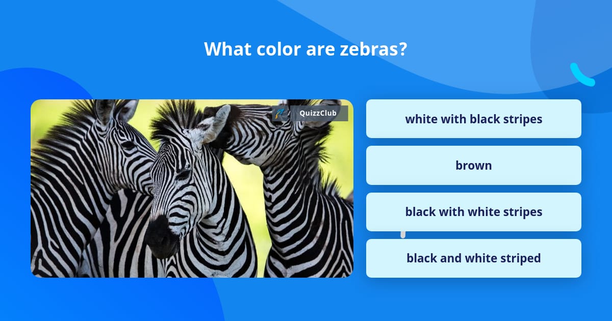 What color are zebras? | Trivia Questions | QuizzClub