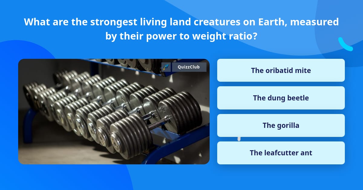 What are the strongest living land... | Trivia Questions | QuizzClub