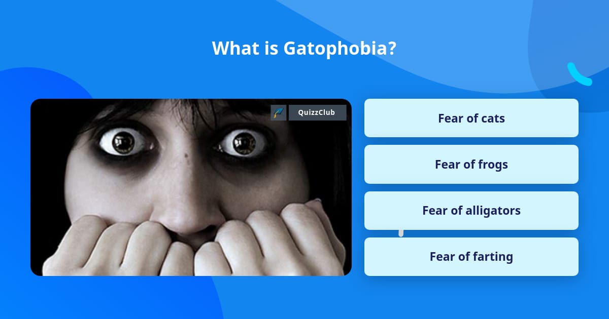 What is Gatophobia? | Trivia Questions | QuizzClub