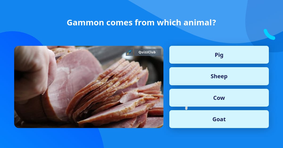 Gammon comes from which animal? | Trivia Questions | QuizzClub