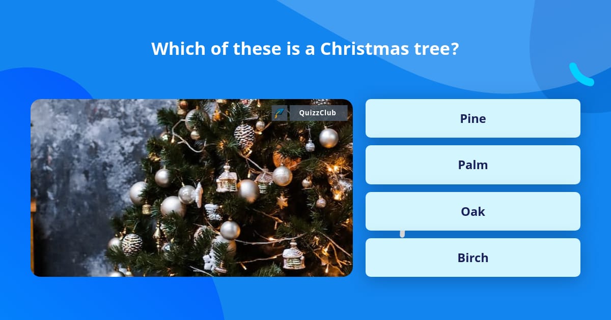 Which of these is a Christmas tree? | Trivia Answers | QuizzClub