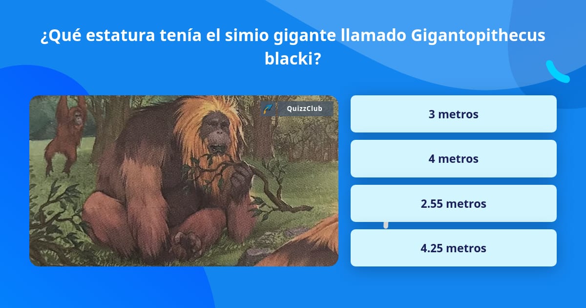 ¿Qué estatura tenía el simio gigante... | Las Preguntas Trivia