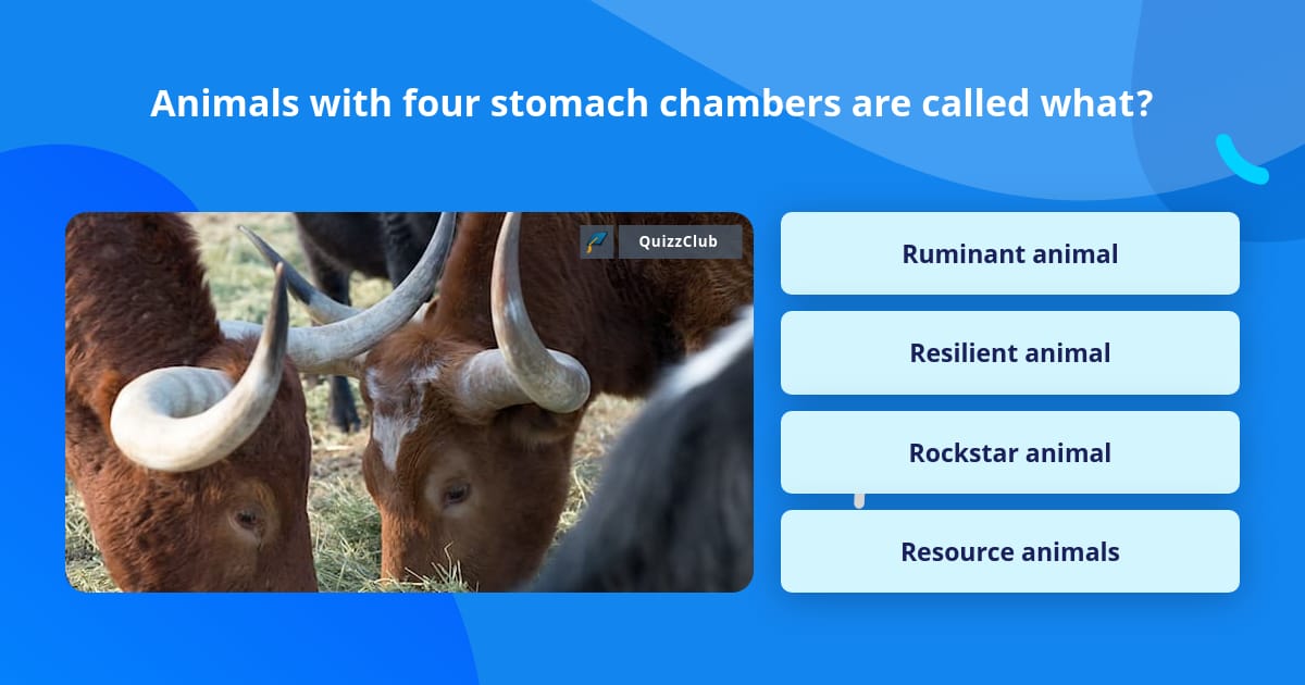 Animals with four stomach chambers... | Trivia Questions | QuizzClub