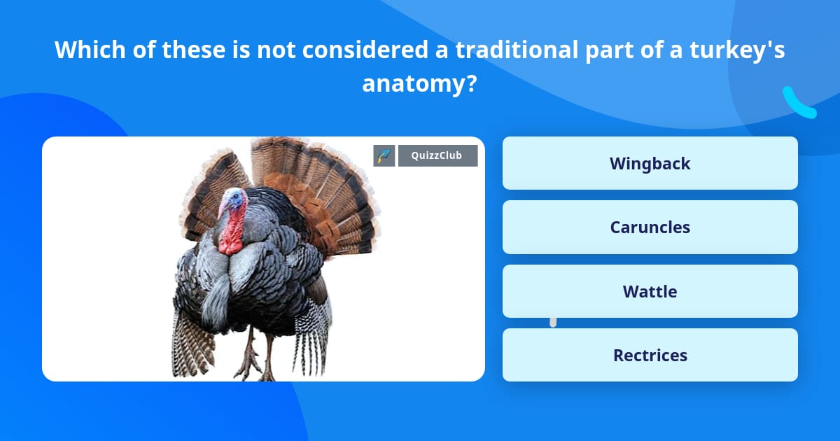 Which of these is not considered a... | Trivia Answers | QuizzClub