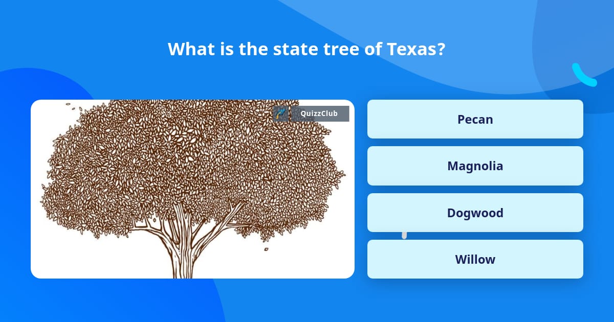 What is the state tree of Texas? | Trivia Answers | QuizzClub