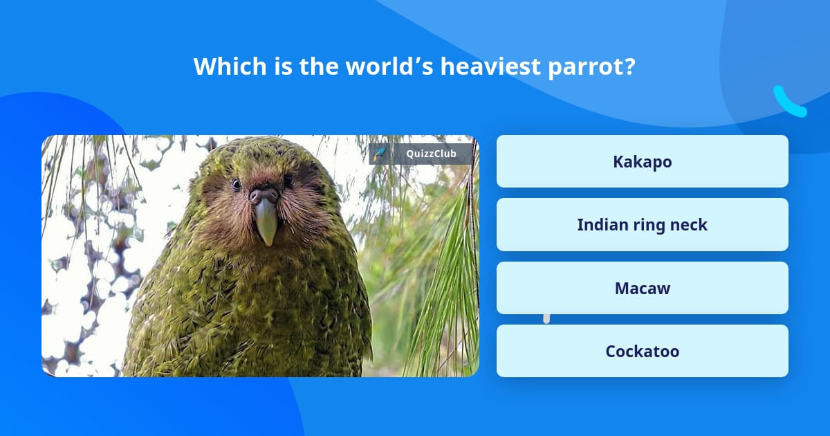 Which is the world’s heaviest parrot? | Trivia Questions | QuizzClub