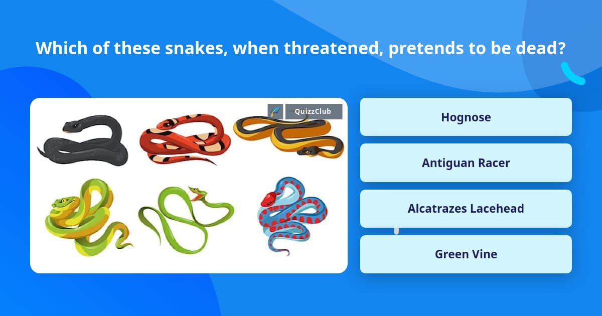 Which of these snakes, when... | Trivia Answers | QuizzClub